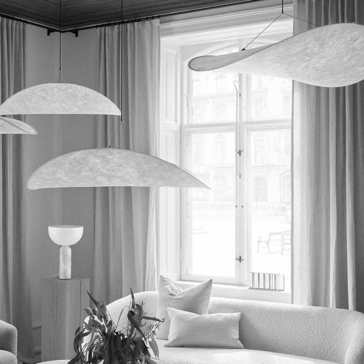 Trade Program – Daisy Aston